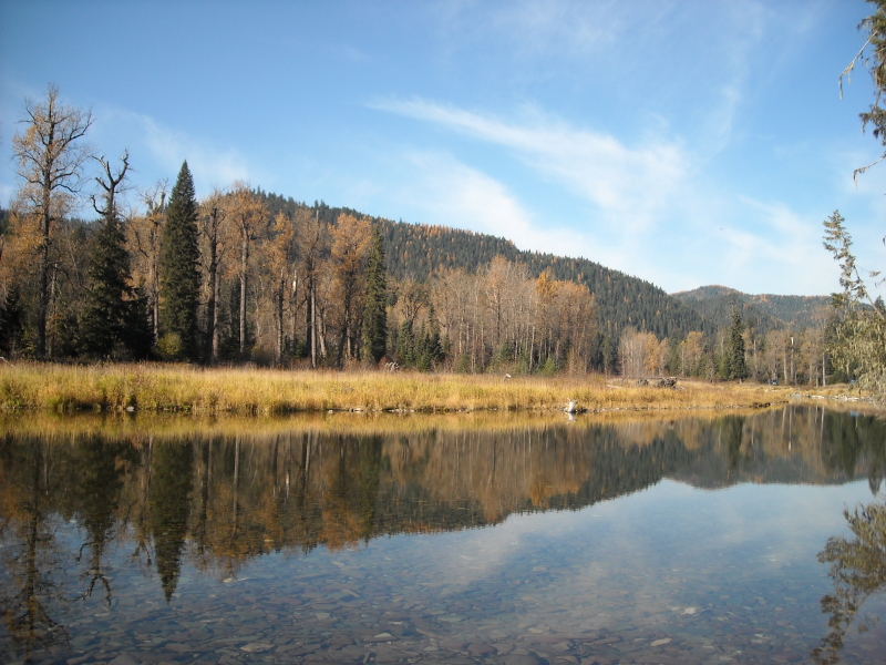 Why We Fly Fish - RiverBum.com