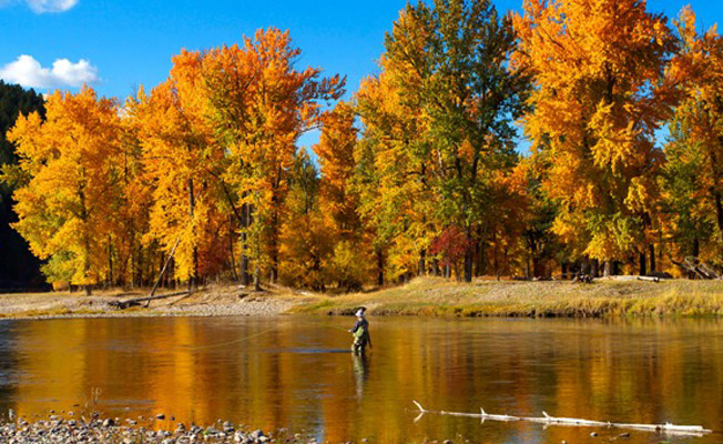 Dry Fly Fishing in the Fall - RiverBum.com