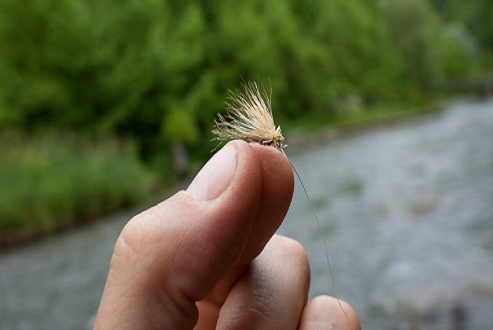 Flies - What Are the Right Ones to Use? - RiverBum.com