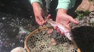 The Hopper Dropper Technique with RiverBum Pro Cinda Howard - RiverBum.com