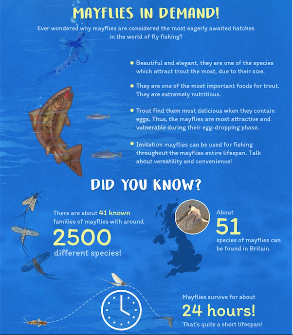Understanding the Mayfly Lifecycle - RiverBum.com