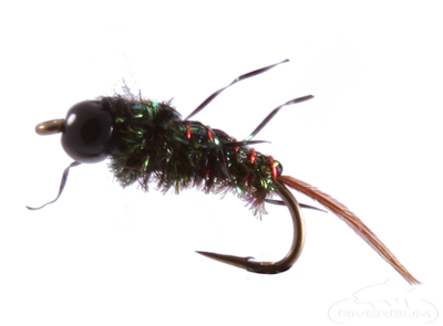 Anatomic Nymph, Peacock | RiverBum.com