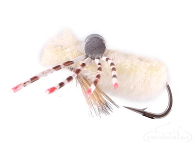 Crab, Turneffe, Tan | RiverBum.com
