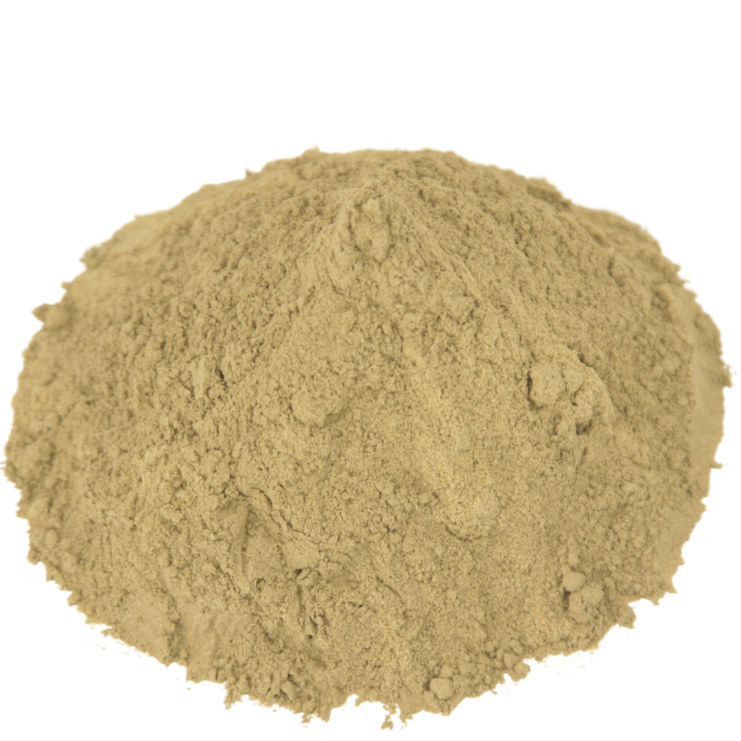 Horsetail Powder - Spirit of Health Store