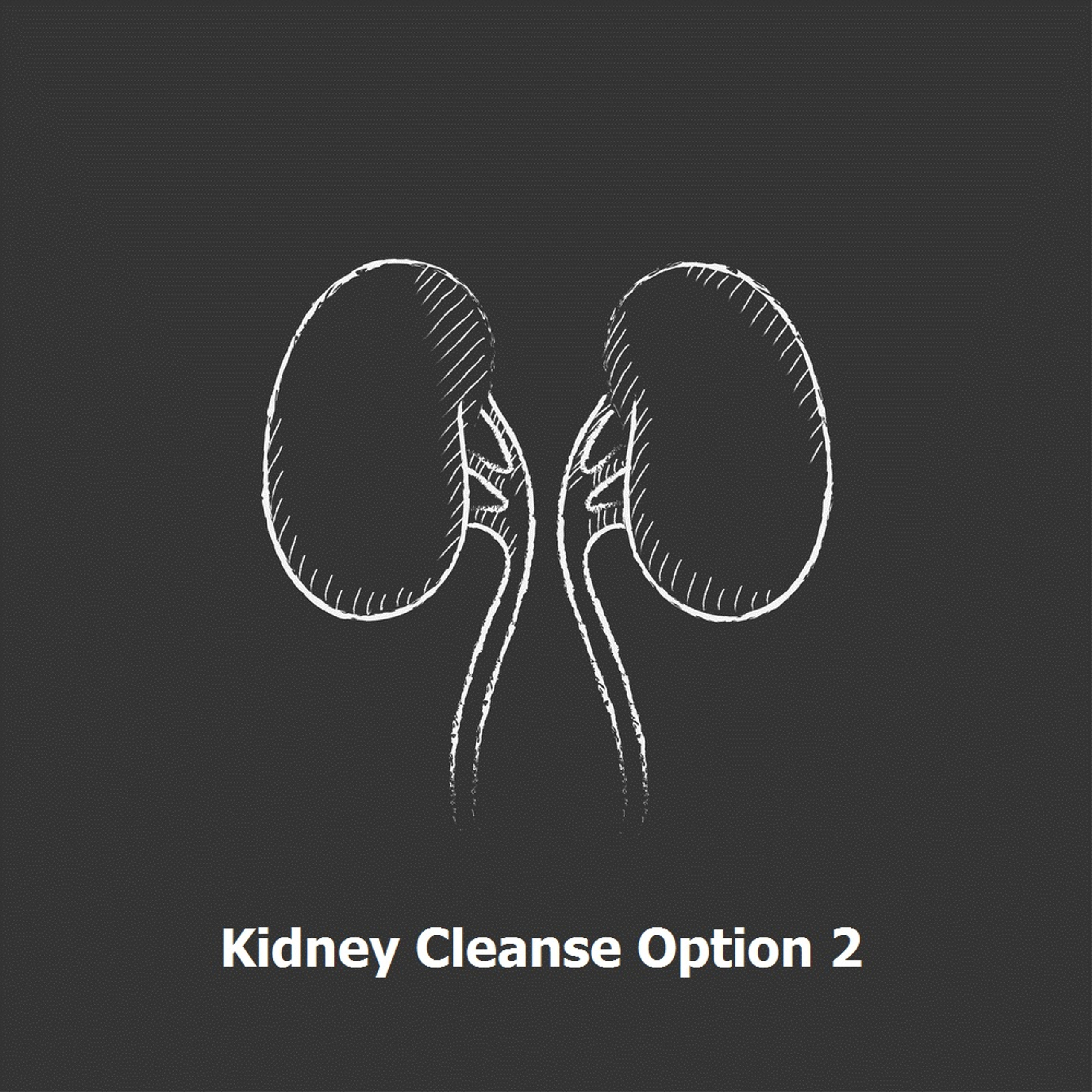 Microbe & Parasite Cleanse - Spirit of Health Store