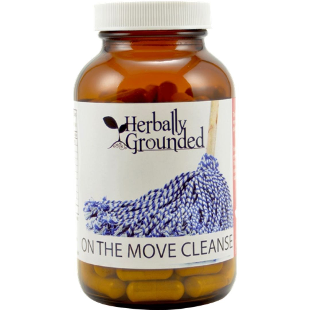 GI Restore Tea - Spirit of Health Store