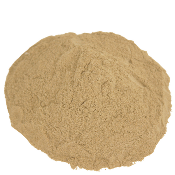 Dong Quai Powder - Spirit of Health Store