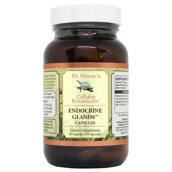 Dr. Morse's Endocrine Glands™ Capsules - Spirit of Health Store