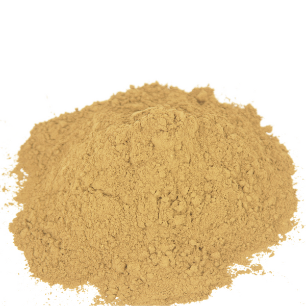 Yellow Dock Root Powder - Spirit of Health Store