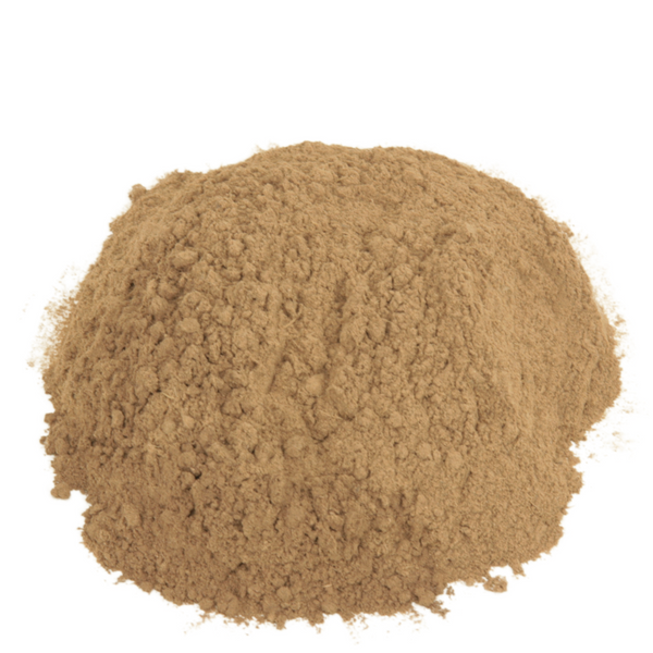 Bayberry Bark of Root Powder - Spirit of Health Store