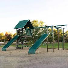 Lifetime Double Slide Deluxe Playset Installation Service
