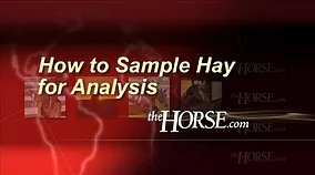 How To Sample Hay For Analysis - ScratchnAll
