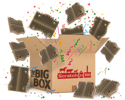 25-Pack Big Box >Brown - FREE SHIPPING-Continental USA Only - ScratchnAll