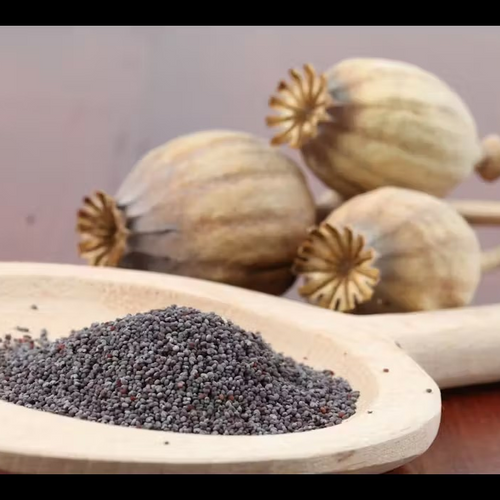 Dutch Blue Poppy Seed