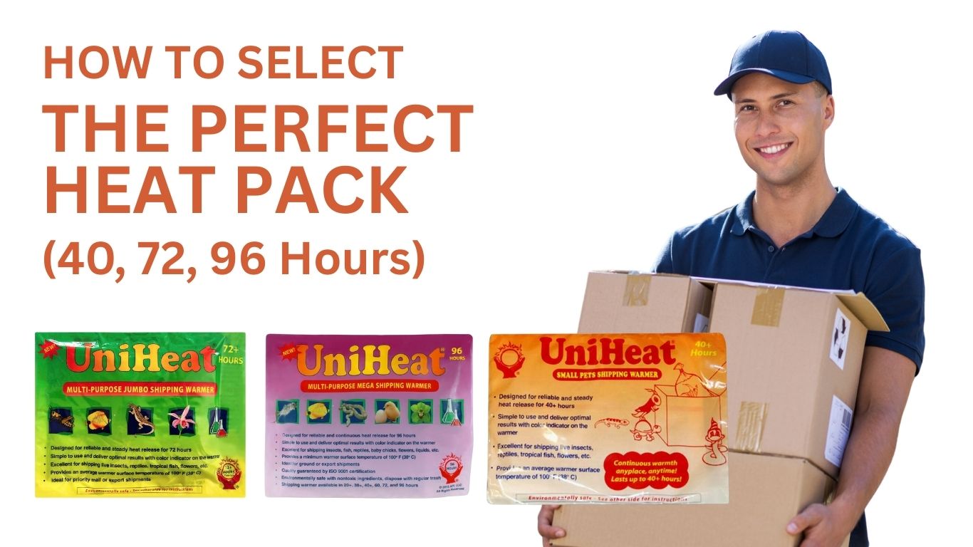 How to Select the Perfect Heat Pack Duration (40, 72, 96 Hours ...