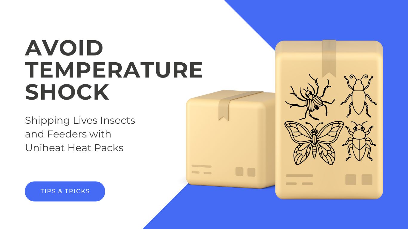 Shipping Live Insects & Feeders Without Temperature Shock - UniHeat USA