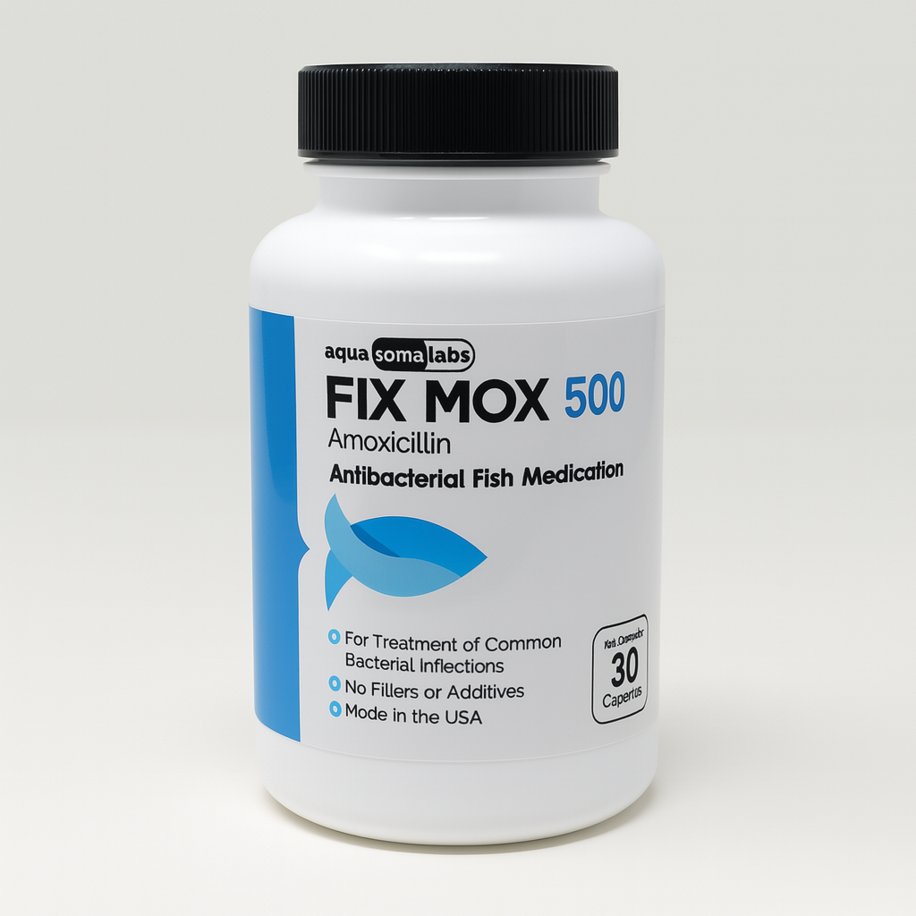 Fish Amoxicillin 500mg 30 capsules | The Fish Antibiotics