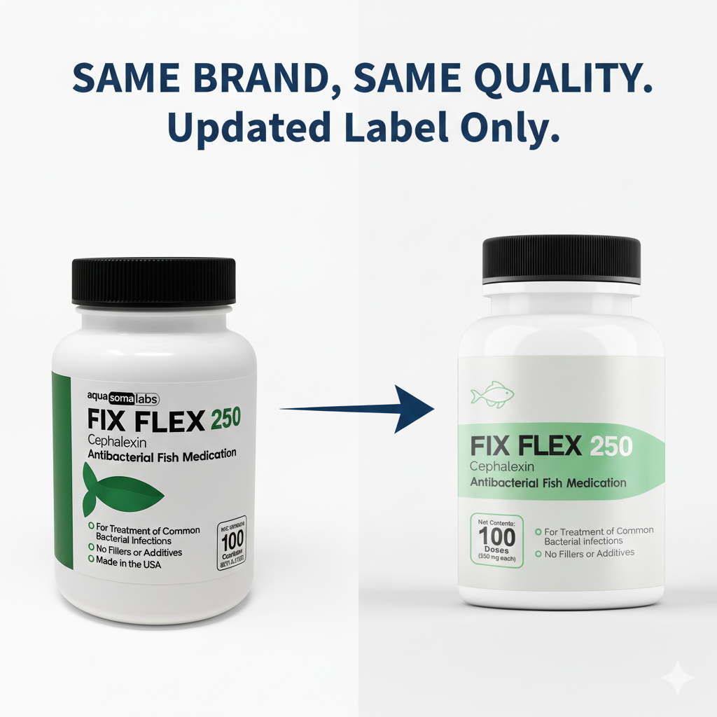 Fish Flex - Cephalexin 250 mg 100 count – Cephalexin Fish Antibiotics