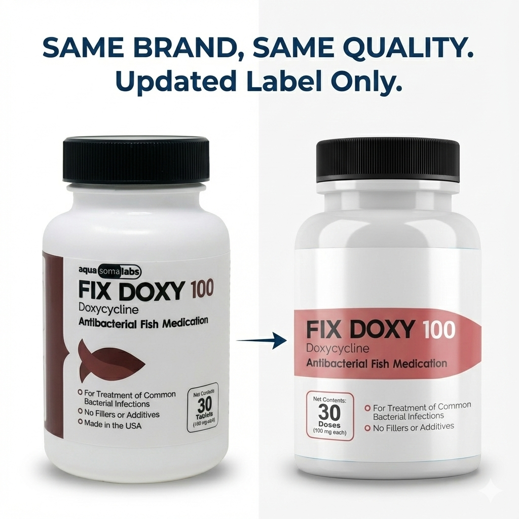 Fish Doxy Doxycycline 100 mg 30 Capsules | Fish Antibiotics