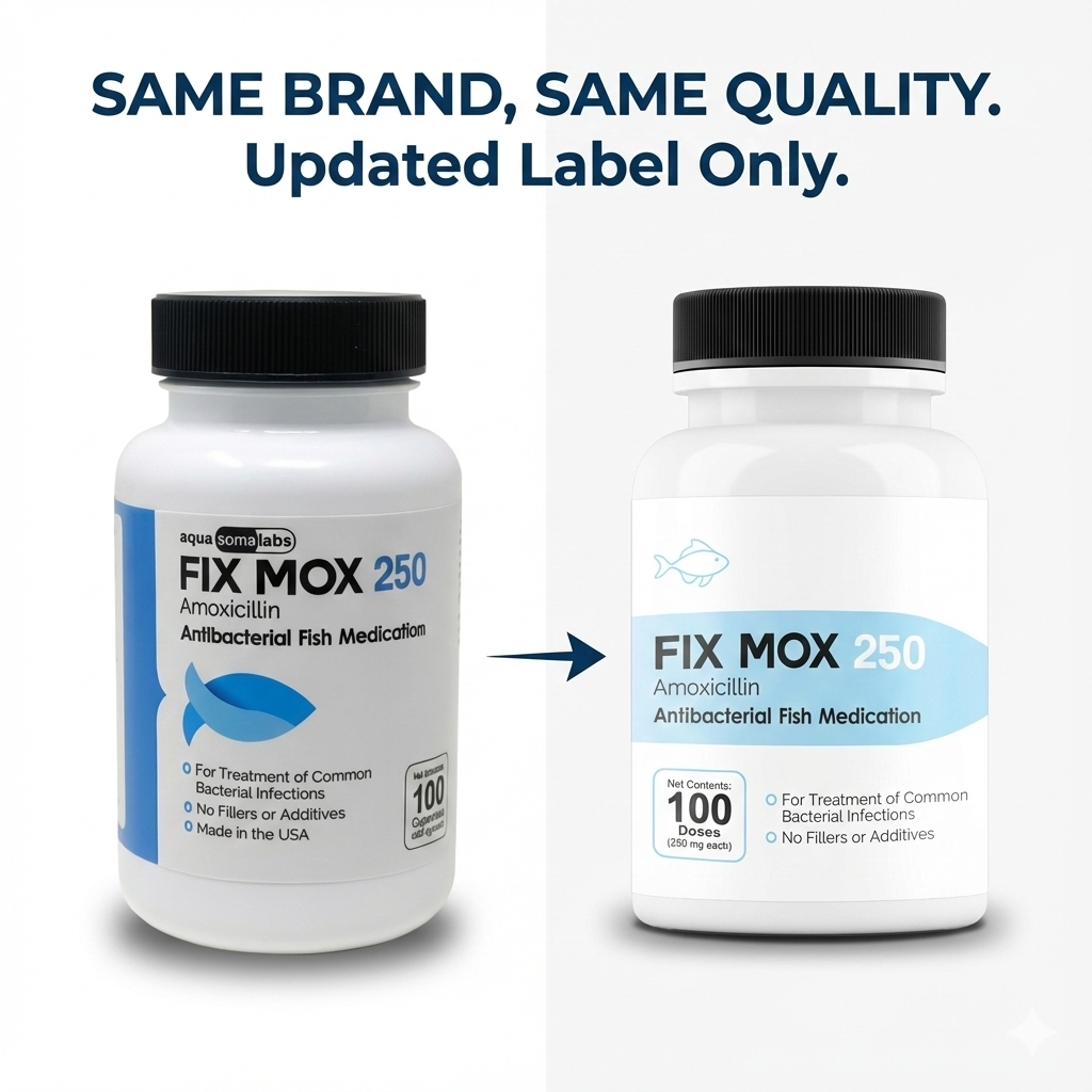 Fish Mox - Amoxicillin 250 mg 100 count – Bacterial Treatment