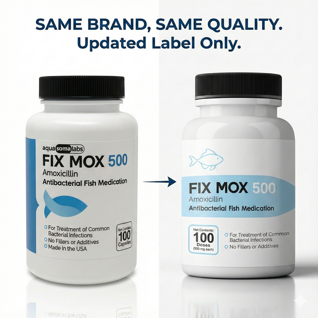 Fish Mox Forte - Amoxicillin 500 mg 100 Count