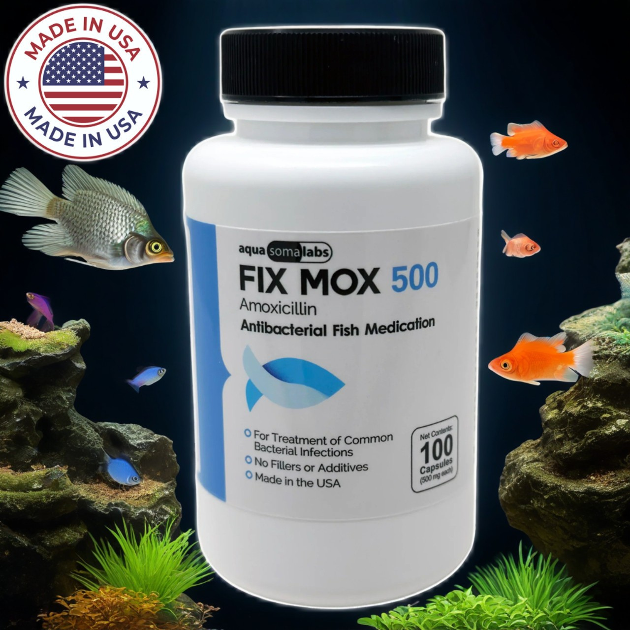 How to Dose Amoxicillin (Fish Mox) Correctly in Your Aquarium – 250 mg ...