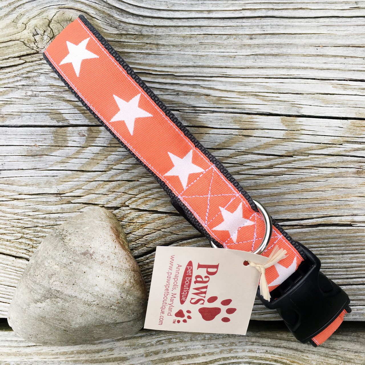 Orange Starfish Dog Collars Made in USA | Cute Beachy Dog Collars
