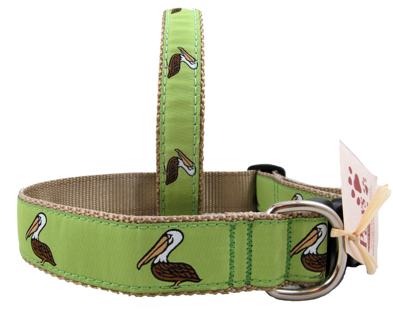 Colorful Tropical Shell Dog Collars | Beach Collars | Paws Pet Boutique