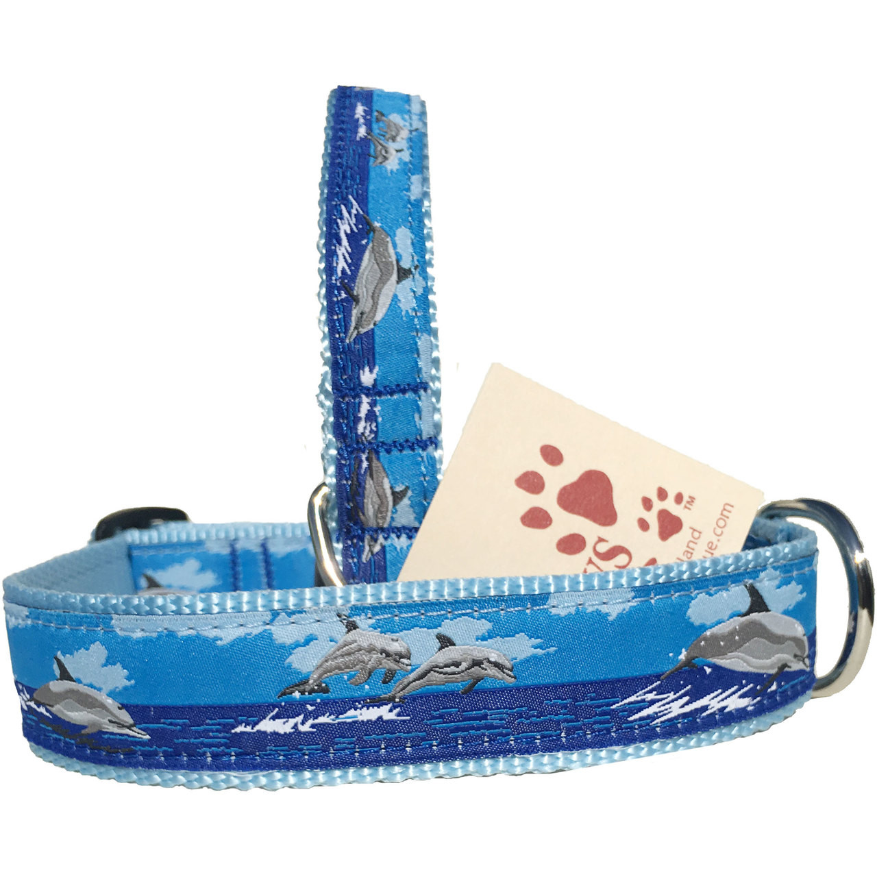 Colorful Tropical Shell Dog Collars | Beach Collars | Paws Pet Boutique