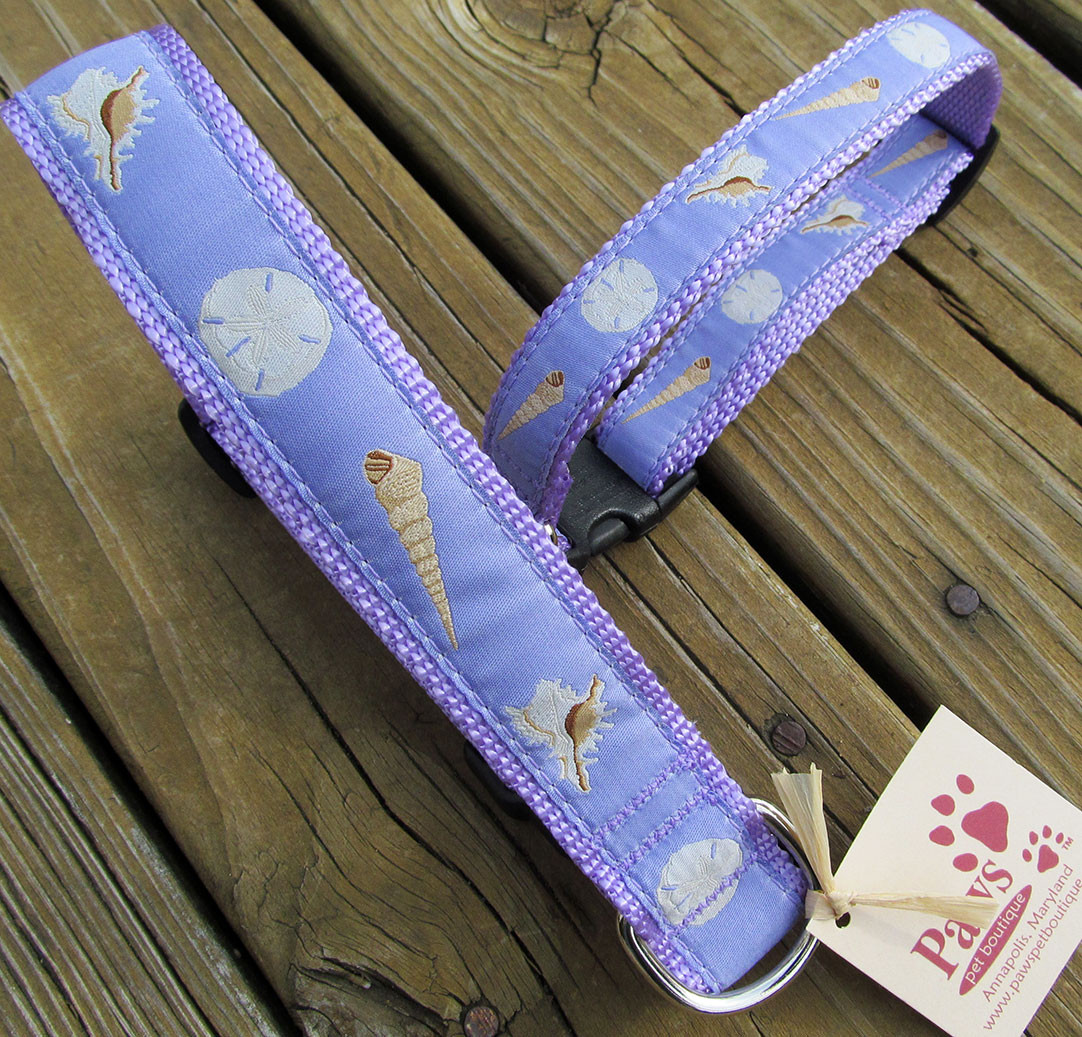Colorful Tropical Shell Dog Collars | Beach Collars | Paws Pet Boutique