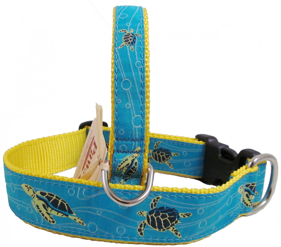 Sea Turtles Dog Collars Made in USA | Naples Florida