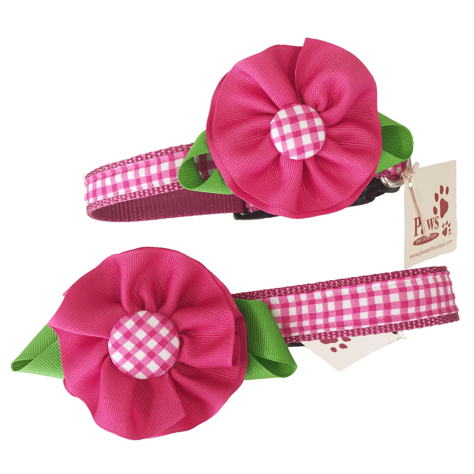 Bold Pink Flower Dog Collar | Designer Pink Dog Collars
