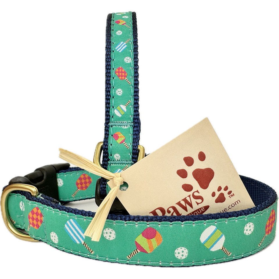 Colorful Tropical Shell Dog Collars | Beach Collars | Paws Pet Boutique