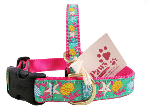 Colorful Tropical Shell Dog Collars | Beach Collars | Paws Pet Boutique