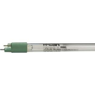 7-L6 | Lancaster UV Bulb