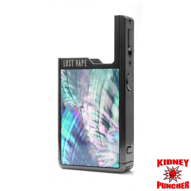 LostVape - Orion - DNA Go - Pod System - Kidney Puncher