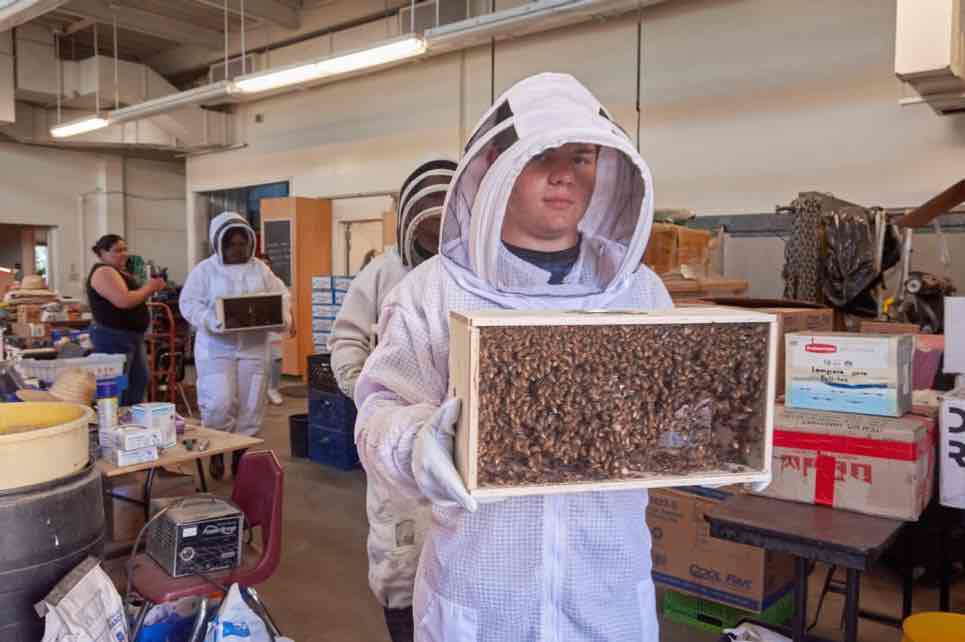 Westminister High School Beekeeping Program - Honey Pacifica