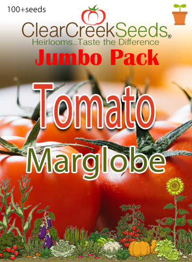 Tomato – Marglobe (100+ seeds) JUMBO PACK - Clear Creek Seeds