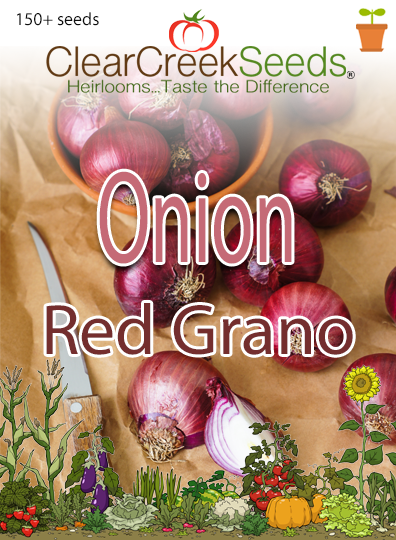 Onion Red Grano heirloom garden vegetable seeds