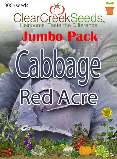 Cabbage - Red Acre (300+ seeds) JUMBO PACK - Clear Creek Seeds