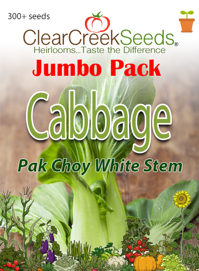 200 Pcs Vegetable Seeds CZ Grain 100 Ong Choy Vegetable Plant Seeds ...