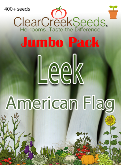 Leek - American Flag (400+ seeds) JUMBO PACK - Clear Creek Seeds