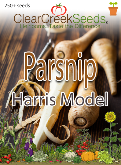 Parsnip heirloom garden vegetable seeds