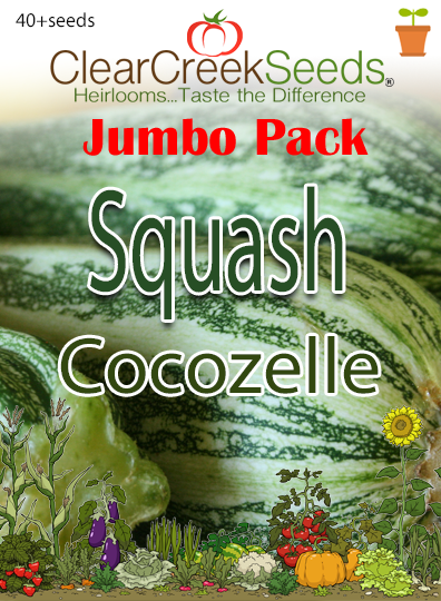 Squash Summer - Cocozelle (40+ seeds) JUMBO PACK - Clear Creek Seeds