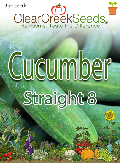 Cucumber - Straight 8 (35+ seeds) - Clear Creek Seeds