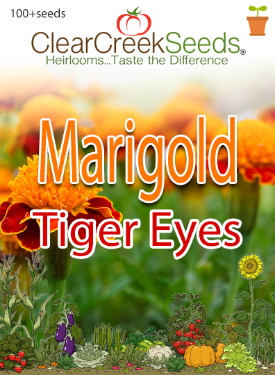 African Marigold - "Smiles" (100+ seeds) - Clear Creek Seeds