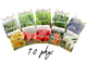 Garden Starter Kit