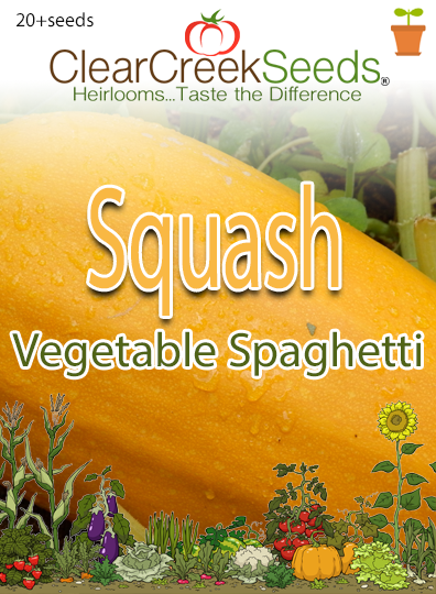 Squash Winter - Vegetable Spaghetti (20+ seeds) - Clear Creek Seeds