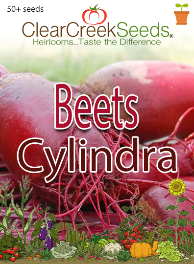 Beets - Cylindra (50+ seeds) - Clear Creek Seeds