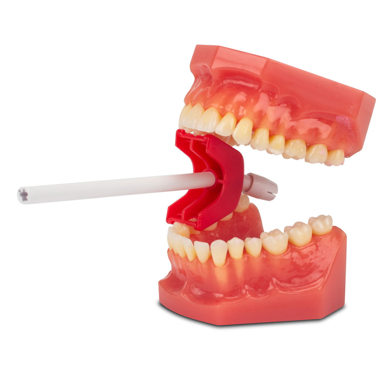 Disposable E-Prop Mouth Props 50/Pack | Practicon Inc